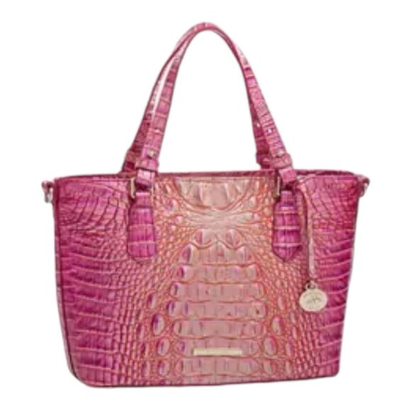 Brahmin | Bags | Brahmin Mini Asher Satchel Pink Ombr Satchel ...